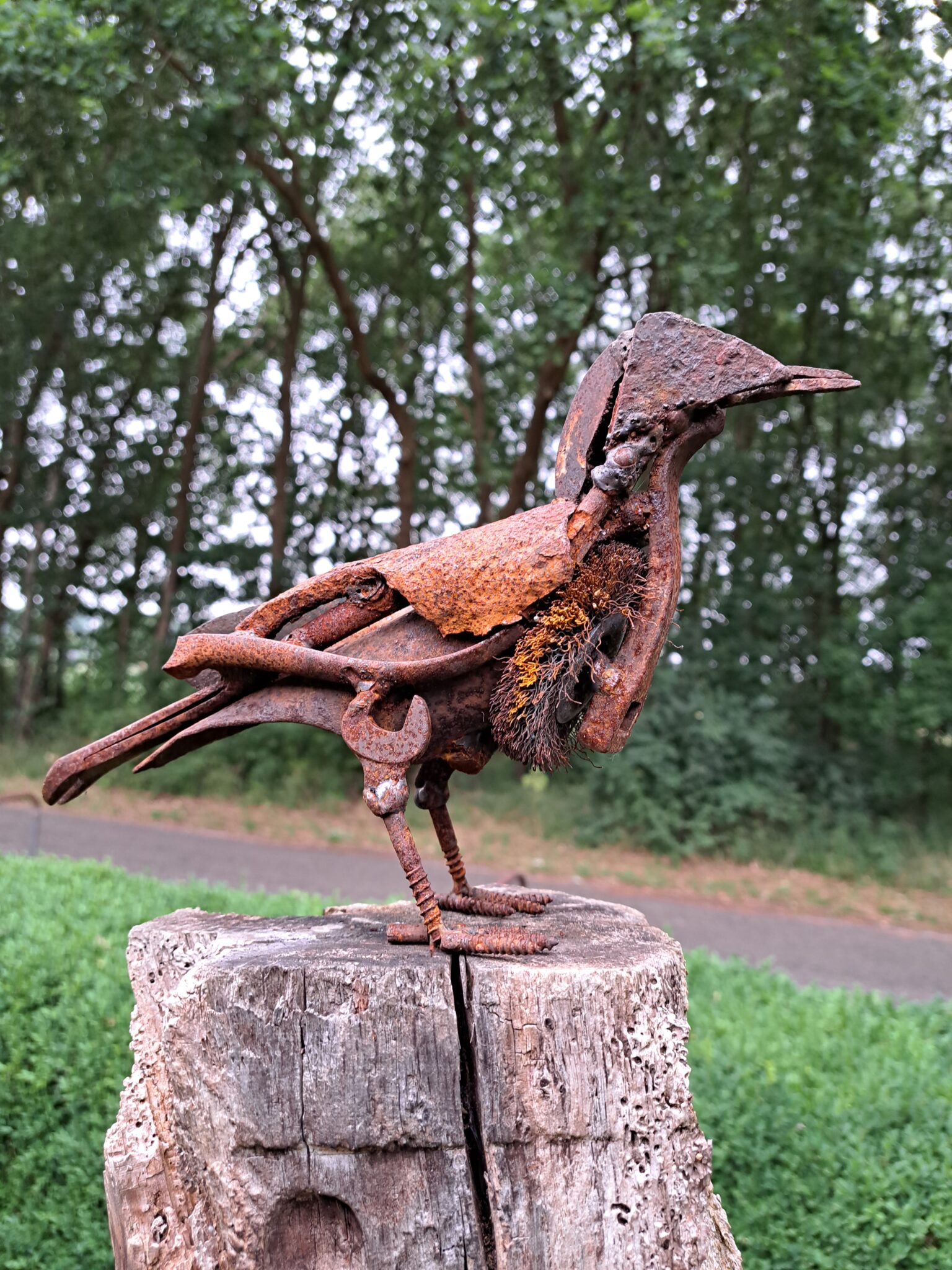 Marco Dijkstra – Westerwolde rijgt